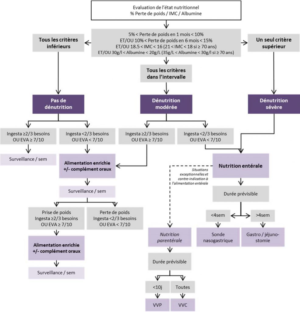 Algorithmes – AURA